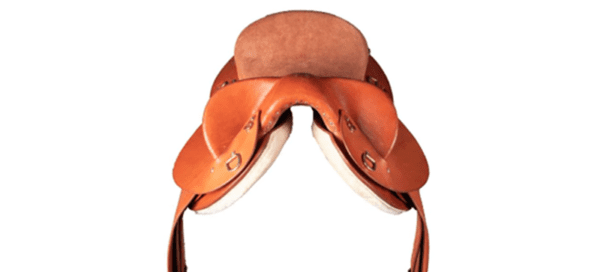 Saddle Fit Archives - The Horse's Back