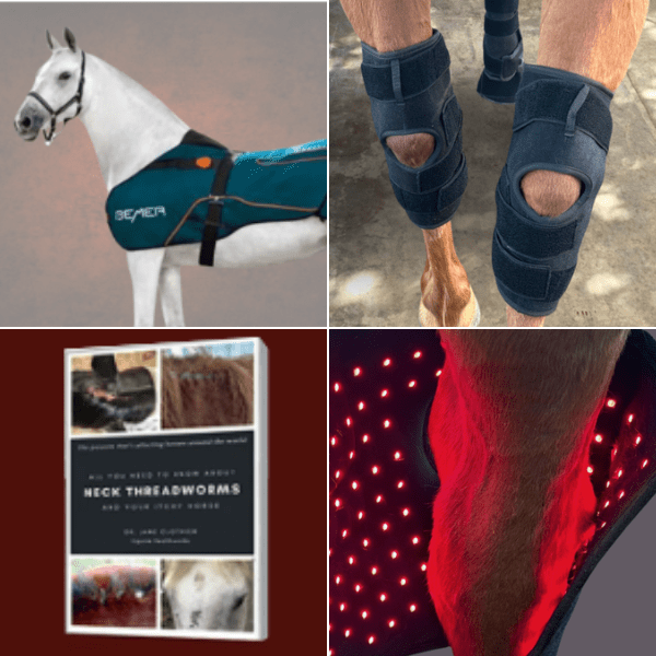 Store for Your Whole Horse Care - The Horses Back